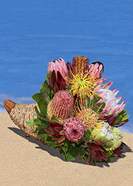 Proteas of Hawaii - Hawaiian Tropical Flowers