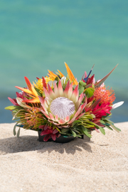 Proteas of Hawaii - Hawaiian Tropical Flowers