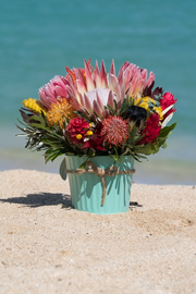 Proteas of Hawaii - Hawaiian Tropical Flowers